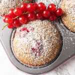 Schnelle Ribisel-Mohn Muffins – der Sommer ist noch nicht vorbei ...